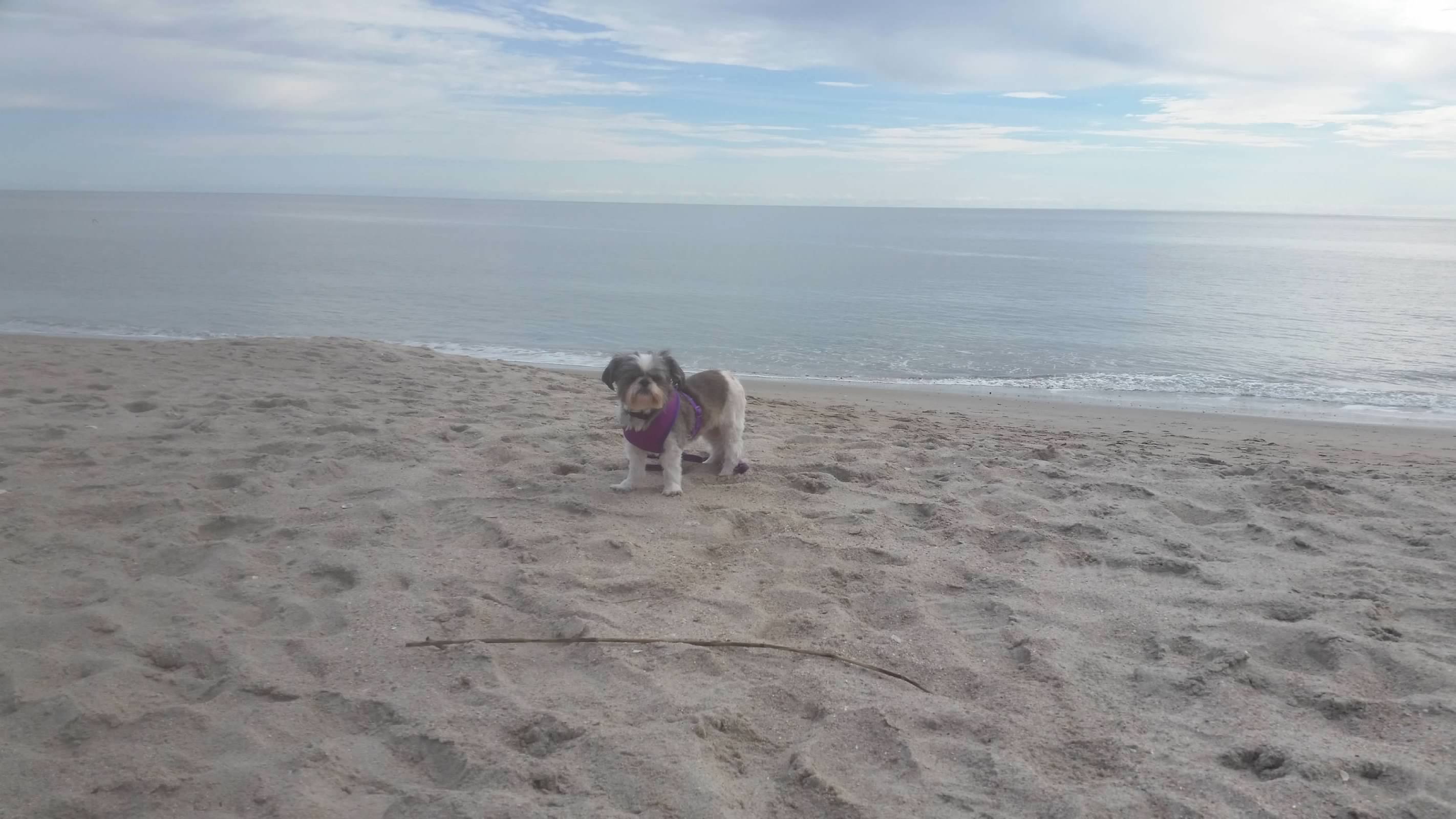 Edi-slow – The Southern Curious Itinerant Blog